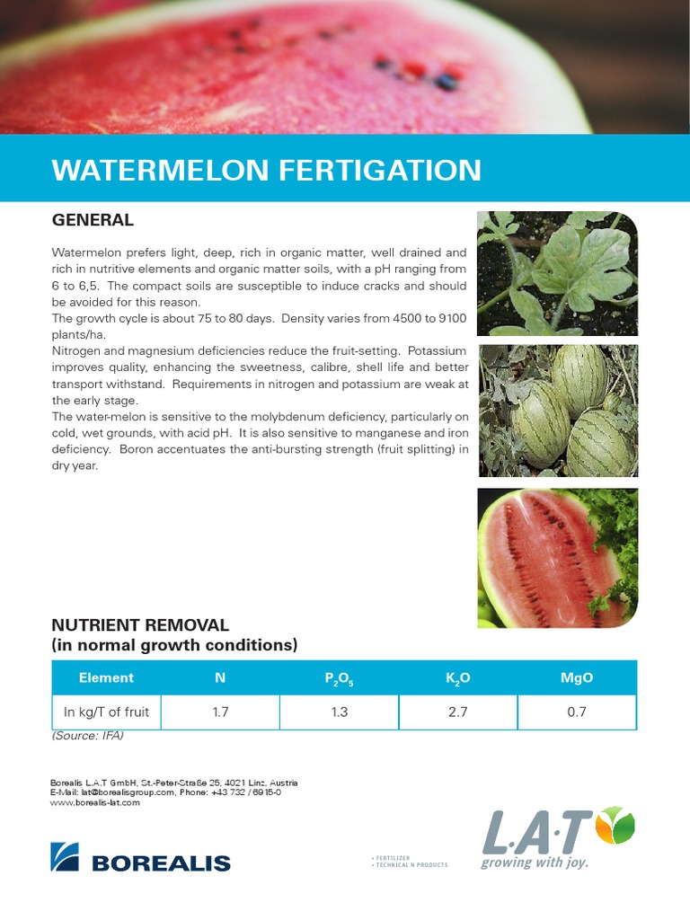 Watermelon Fertigation | PDF | Watermelon | Fertilizer