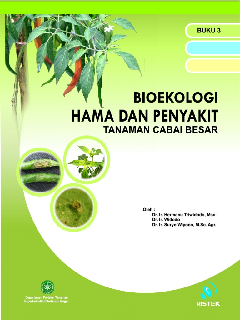 01 - Bioekologi Hama Penyakit Cabai | PDF | Sains & Matematika