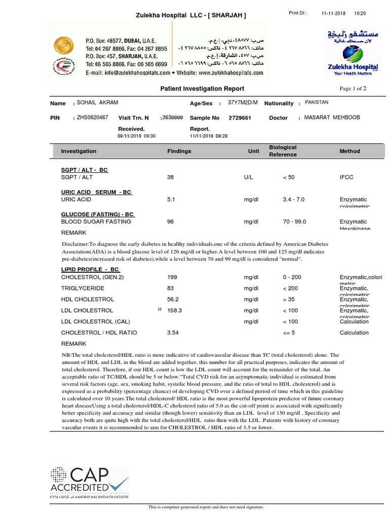 Patient Investigation Report for 37-Year-Old Male with Elevated ...