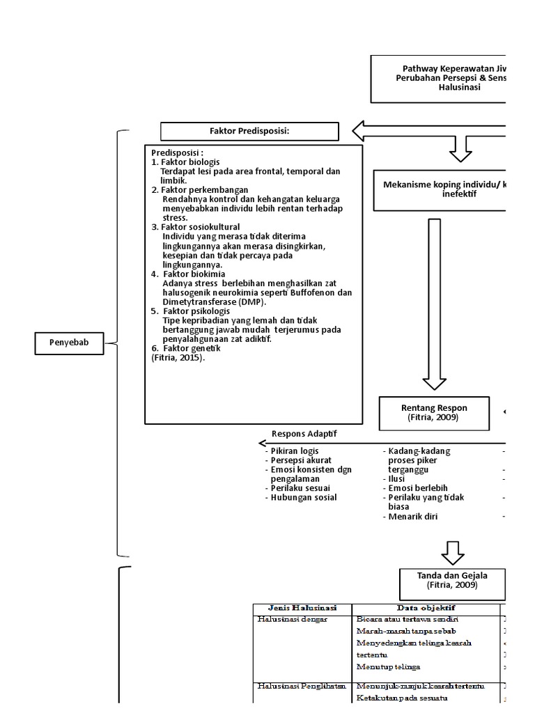 Pathway LP Halusinasi | PDF