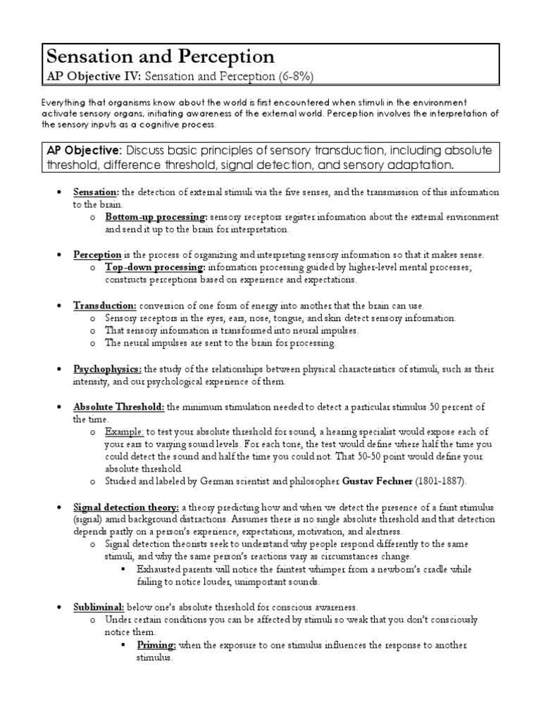 Sensation and Perception Review Packet | PDF | Visual System | Taste