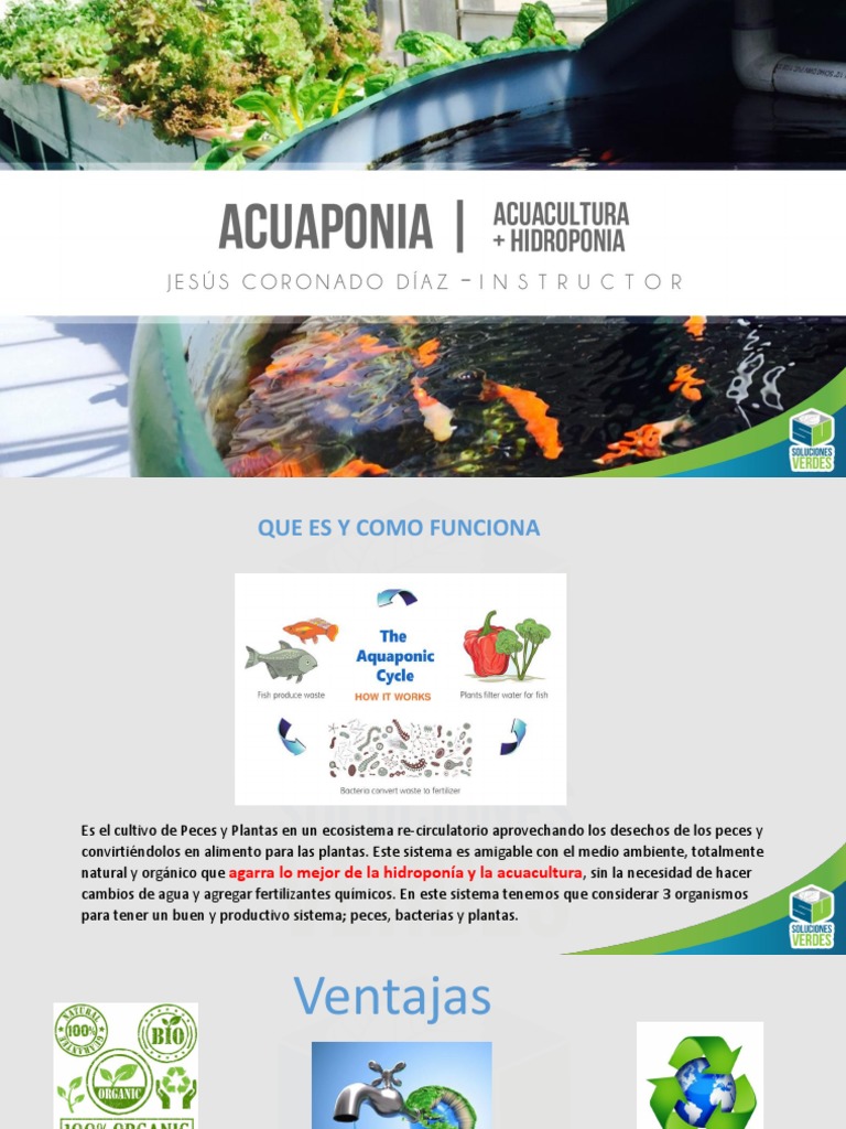ACUAPONIA | Acuaponia | Horticultura y jardinería