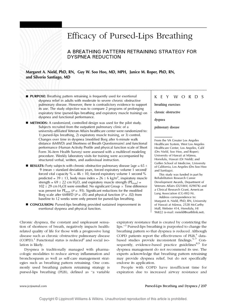 Efikasi PLB PDF | PDF | Chronic Obstructive Pulmonary Disease | Exhalation