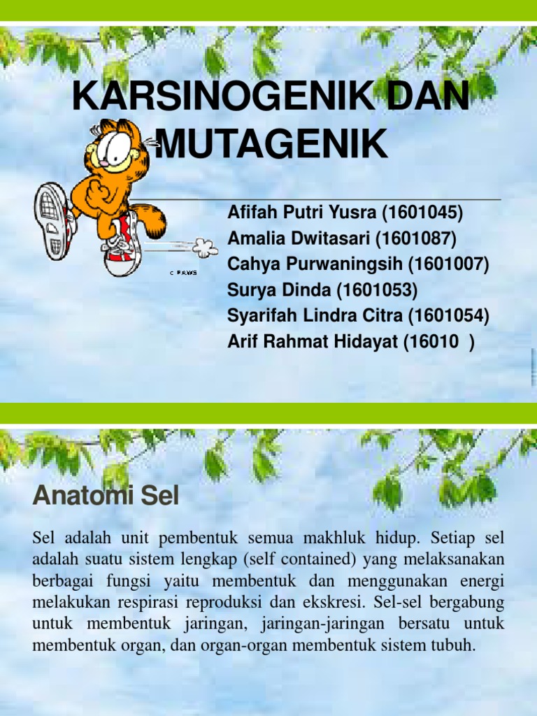 Karsinogenik Dan Mutagenik | PDF