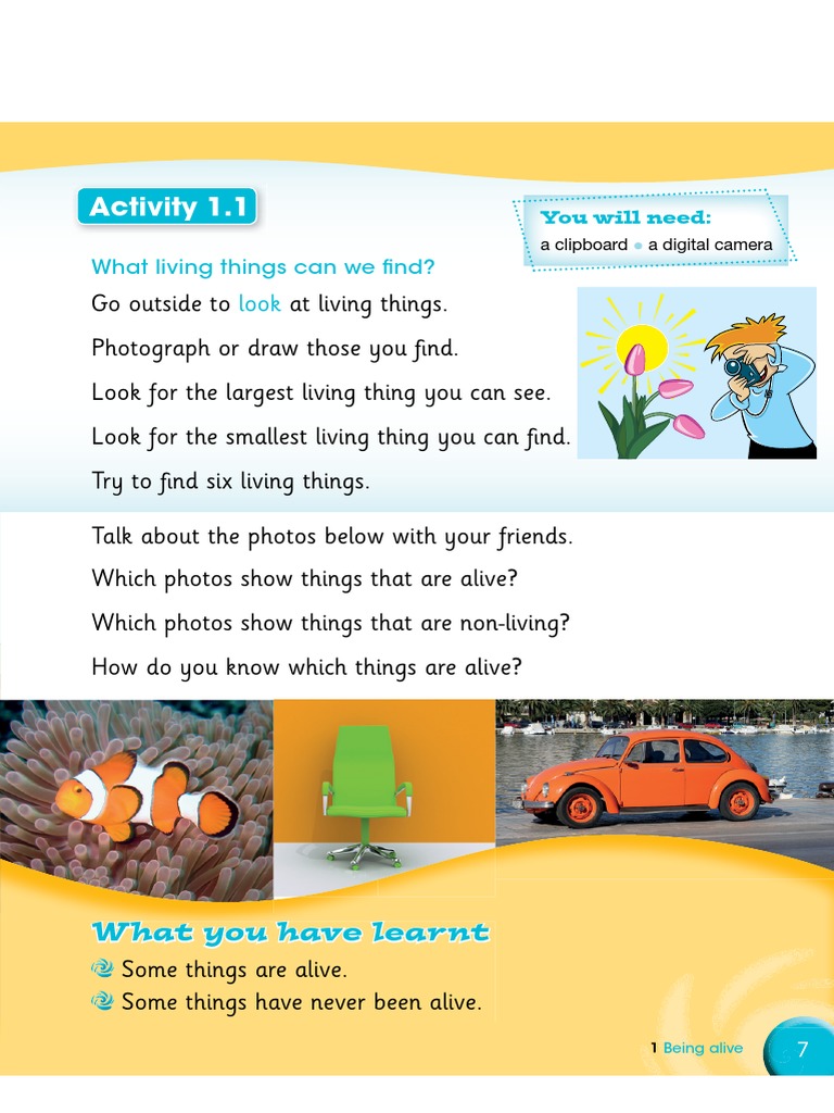 Sample Stage 1 | PDF