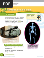Cambridge Grade 5 Science Worksheets | PDF