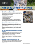 Purina Body Condition Score Diagram | PDF | Abdomen | Pelvis