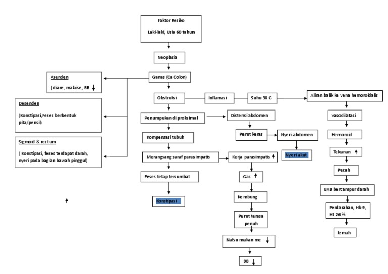 CA Colon Patofisiologi | PDF