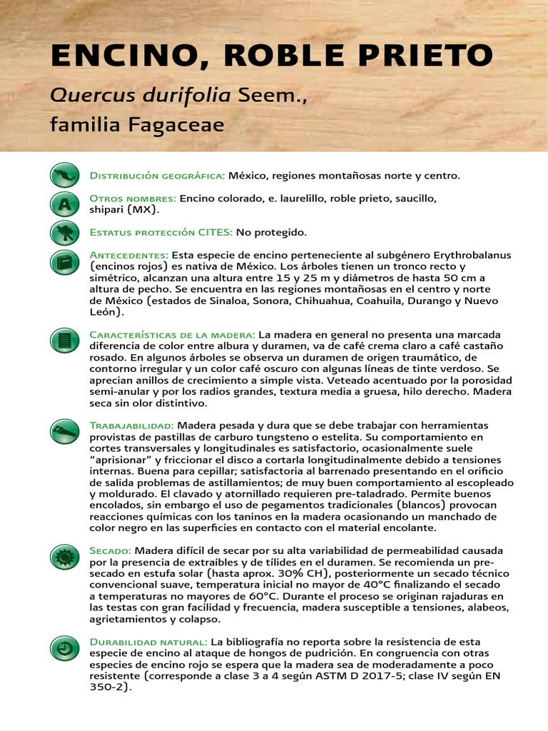 Encino roble prieto (Quercus durifolia): Características, propiedades y ...