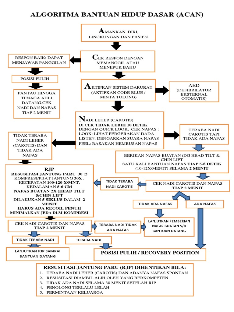 Algoritma Bantuan Hidup Dasar | PDF