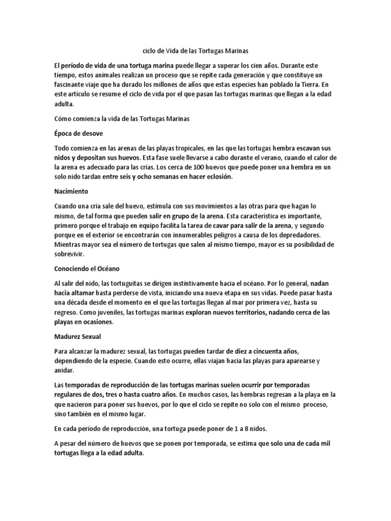 Ciclo de Vida de Las Tortugas Marinas | Tortuga marina | Tortuga