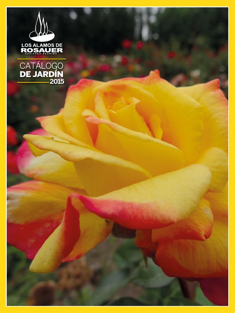 Catálogo de Rosas | PDF | Rosa | Flores