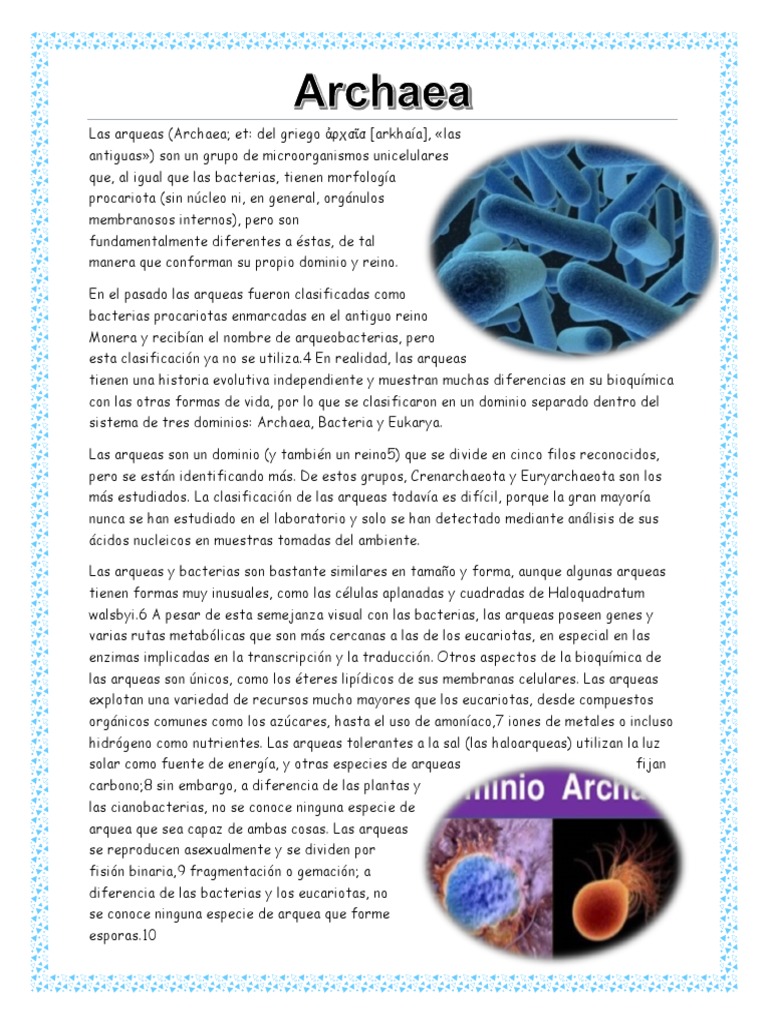 Archaea | PDF | Archaea | Microorganismo