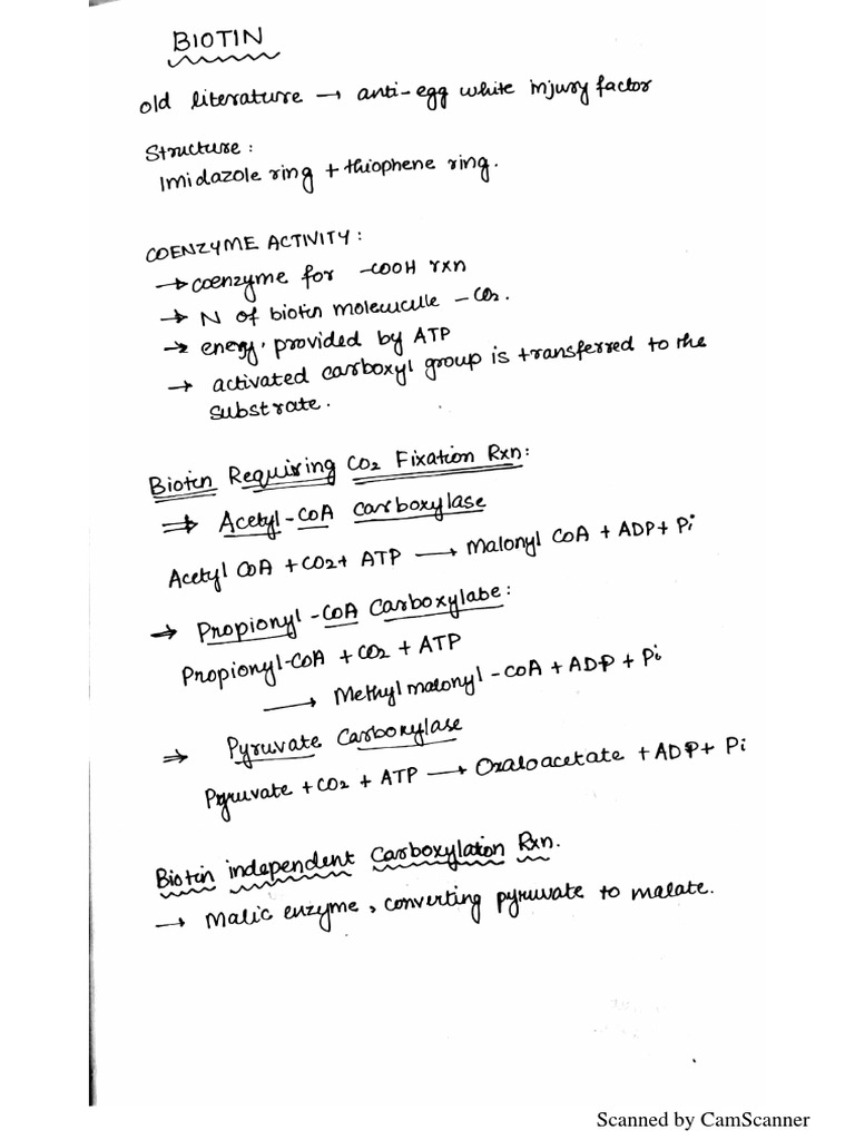 Biotin PDF | PDF