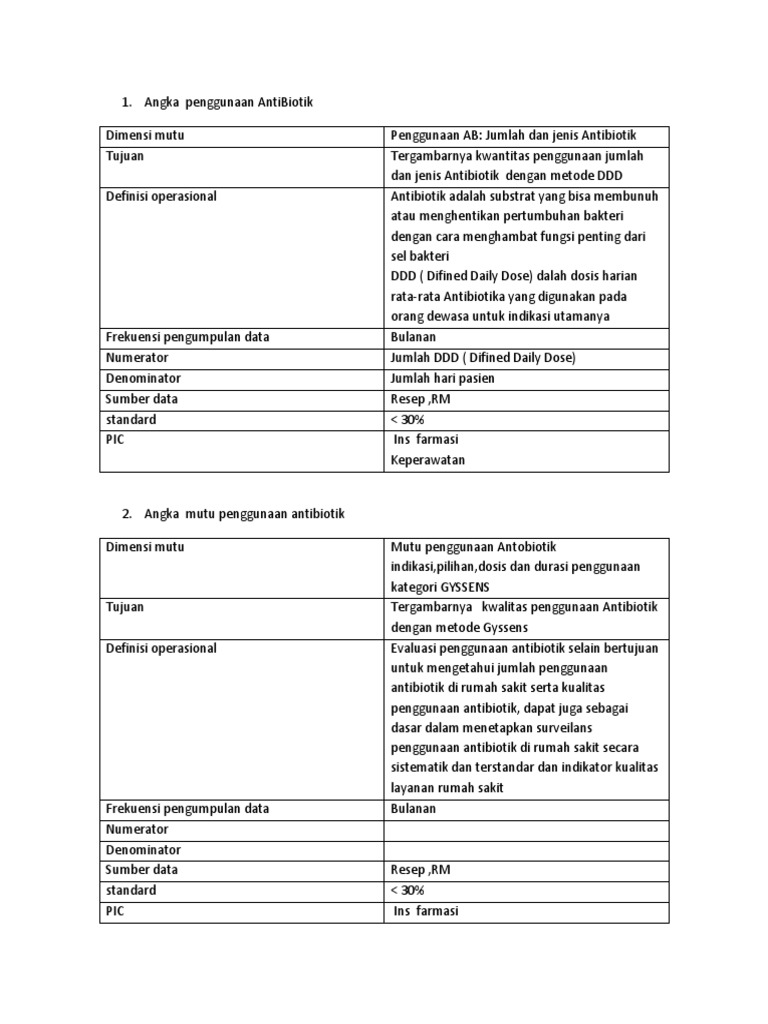 Format Indikator Mutu Ppra | PDF