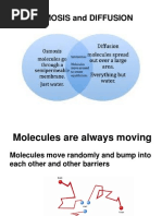 Video Recap of Osmosis by Amoeba Sisters Answer Set | PDF | Osmosis ...