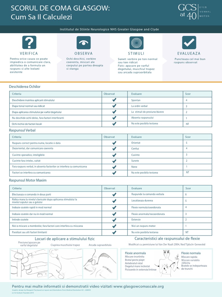 GCS Assessment Aid Romanian | PDF