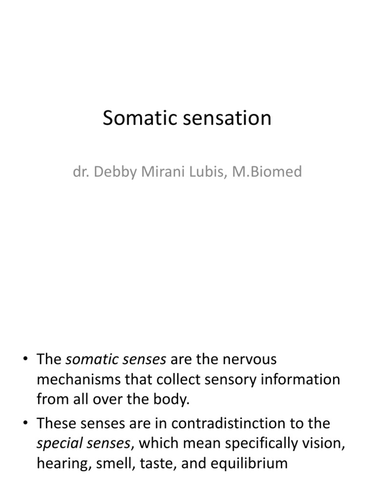 Somatic Sensation | PDF | Somatosensory System | Senses