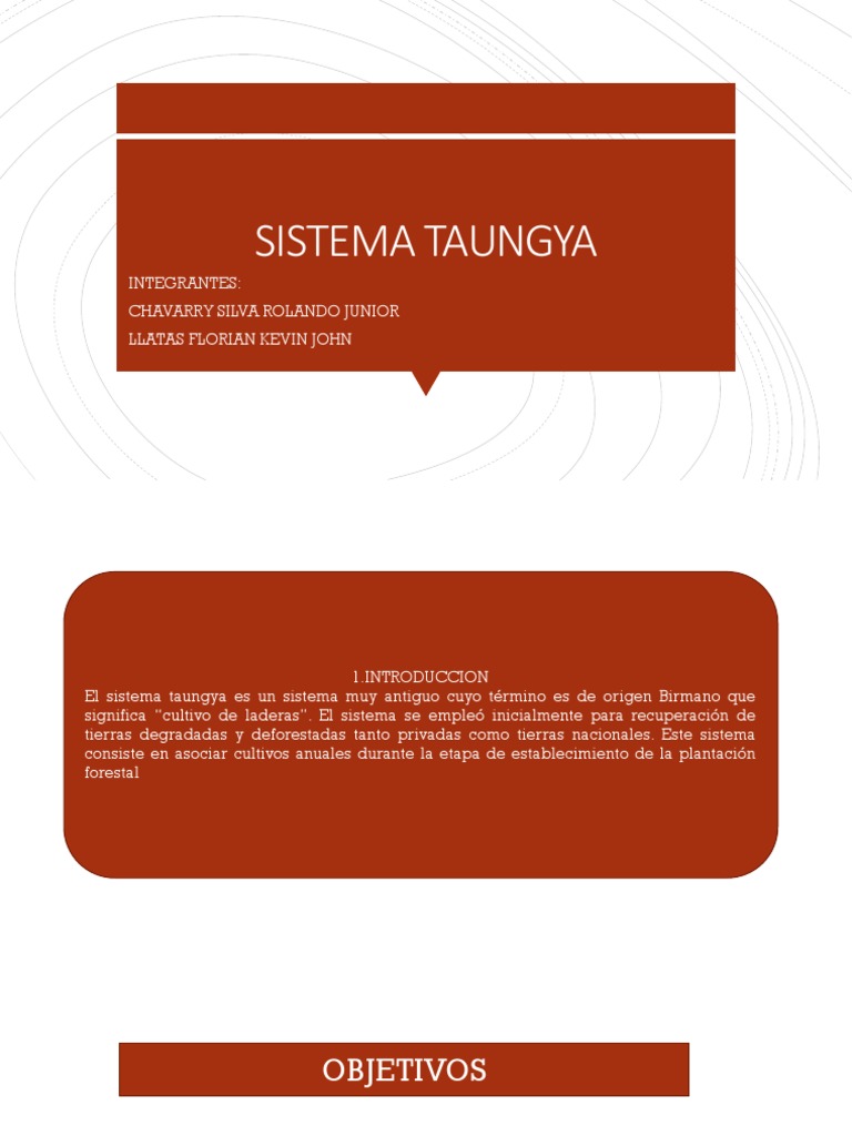 Sistema Taungya Presentacion | Los bosques | Agricultura