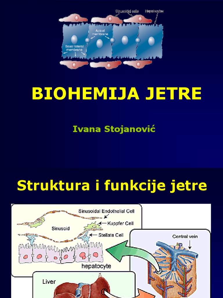 Biohemija Jetre Farmaceuti V | PDF