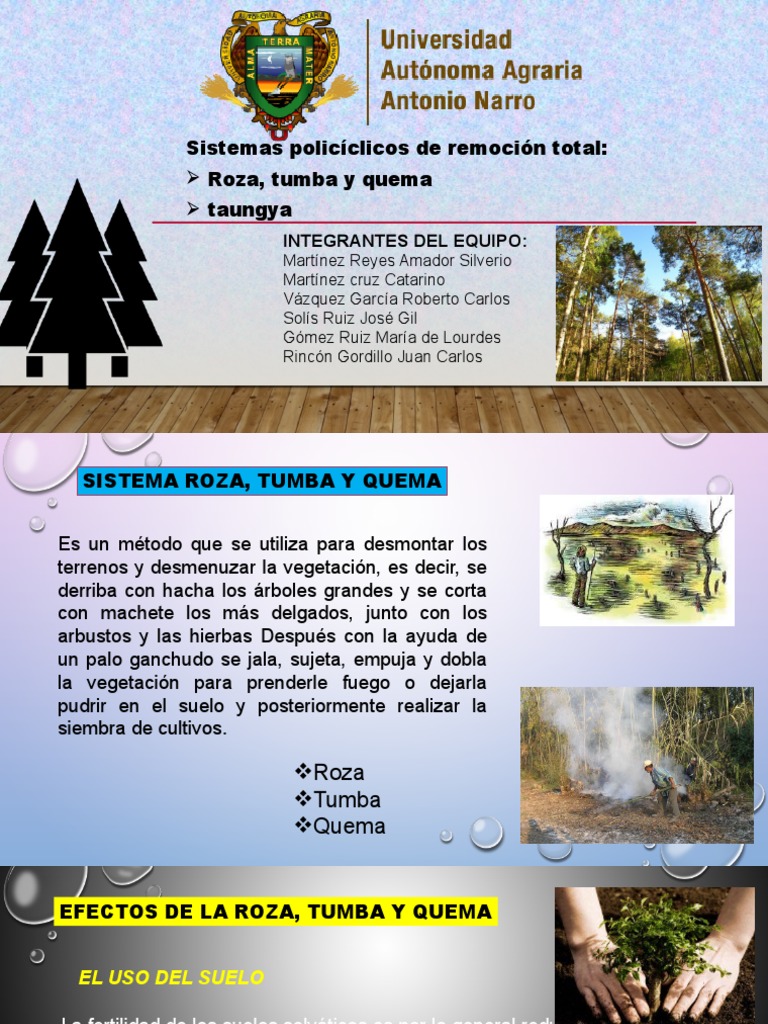 Sistemas de Roza y Quema en Agricultura | PDF | Los bosques | Agricultura