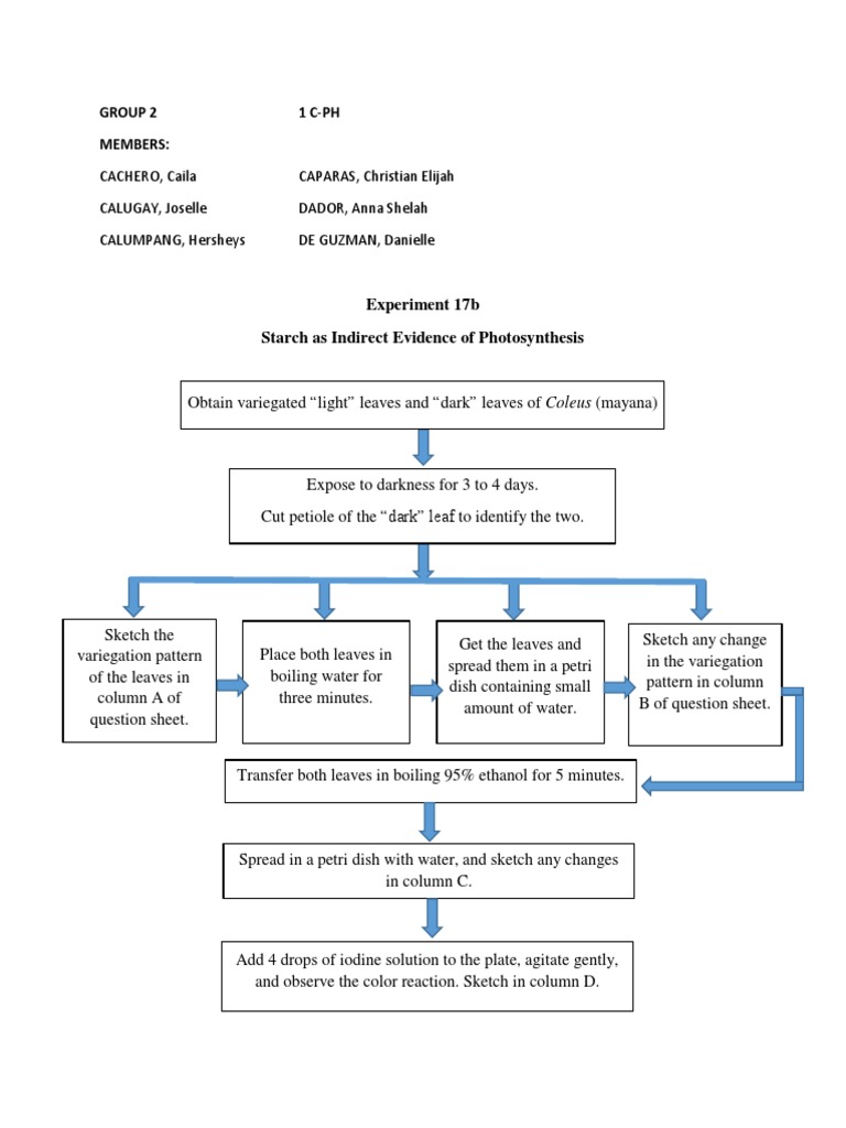 Botany Schematic Diagram 17b | PDF