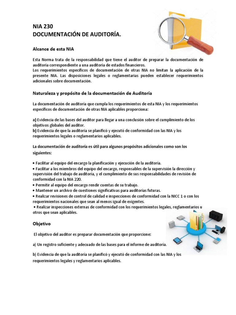 Nia 230 | PDF | Auditoría | Contralor