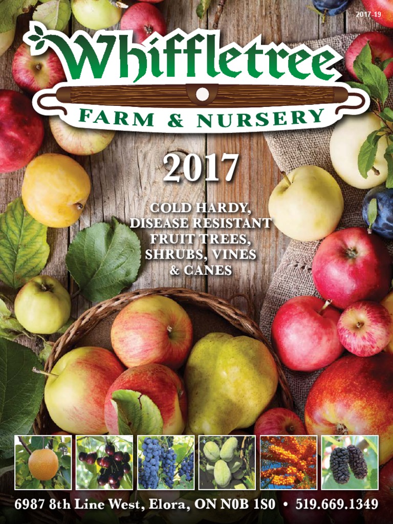 Whiffletree - Catalogue-Hardy Fruit Trees 2017 | PDF | Mali | Apple