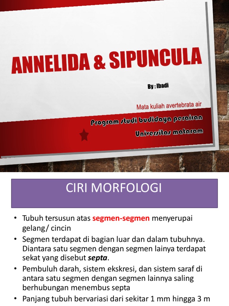 Annelida & Sipuncula | PDF | Sains & Matematika