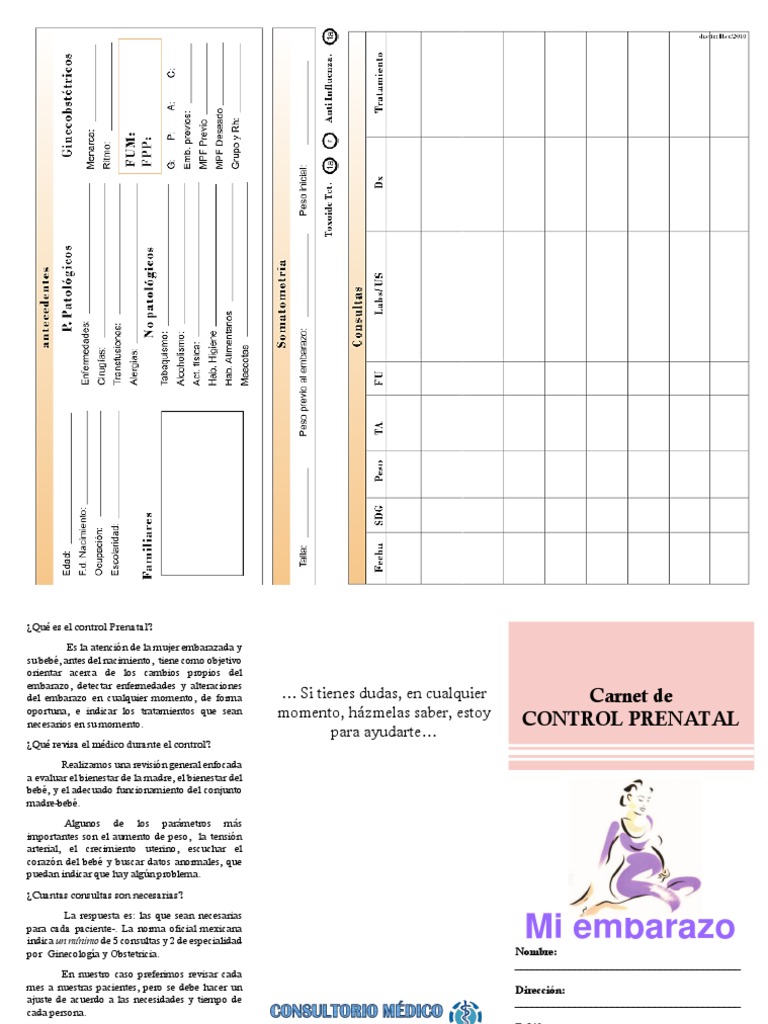 Carnet control prenatal | El embarazo | Partería