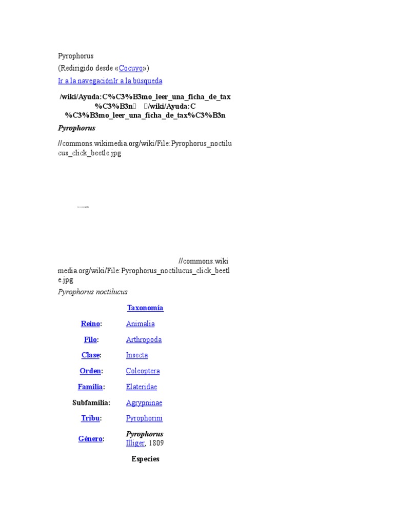 COCUYO | PDF | Hexapoda | Insectos