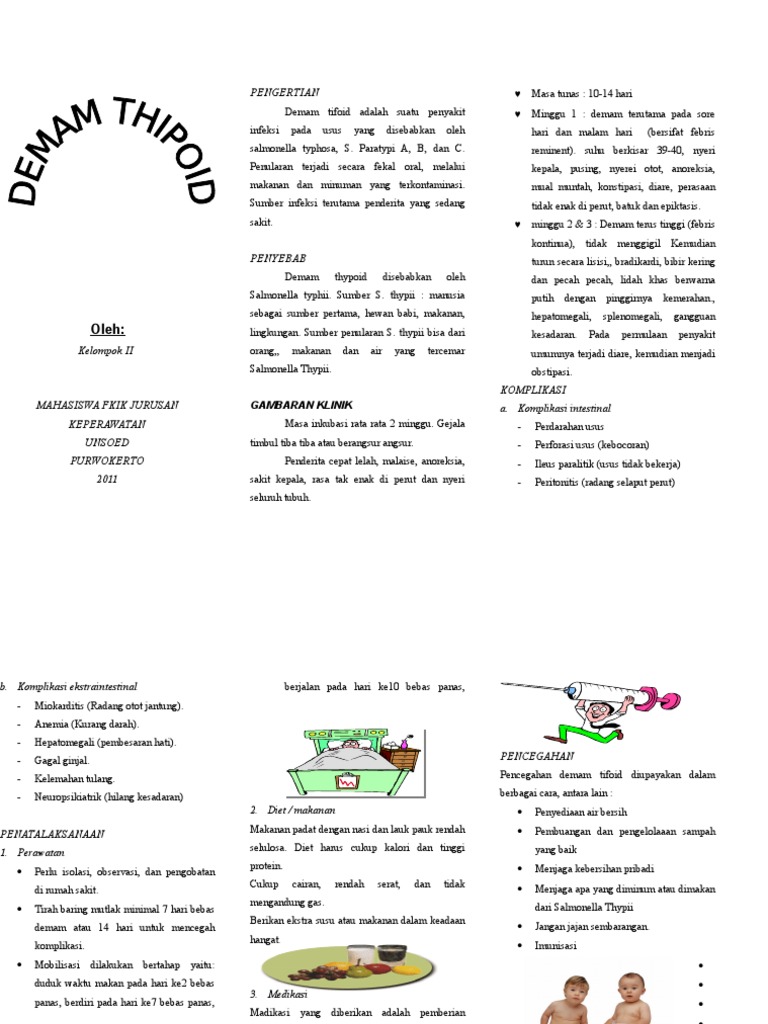 DEMAM TIPHOID Leaflet | PDF