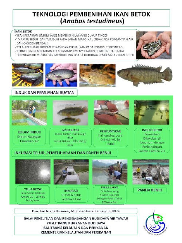 Contoh Promosi Pamflet Dan Poster | PDF