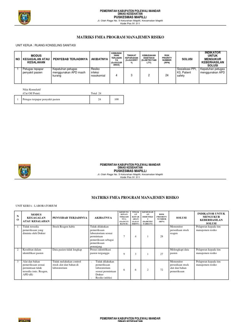 Matriks Fmea Program Manajemen Risiko | PDF