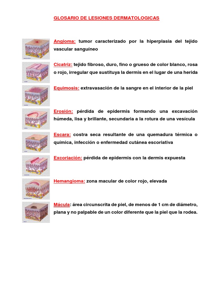 Glosario de Lesiones Dermatologicas | PDF | Piel | Herida
