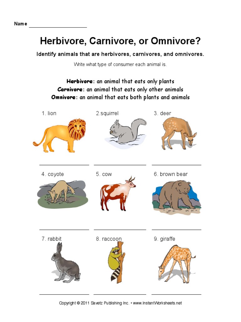 Herbivore, Carnivore, or Omnivore?: Identify Animals That Are ...