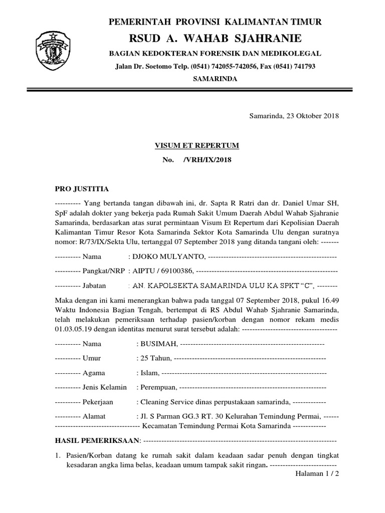 Contoh Visum Sudah Benar | PDF