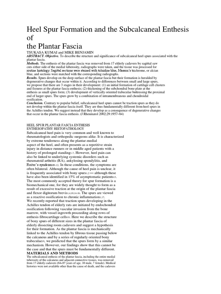 Heel Spur Formation and The Subcalcaneal Enthesis of The Plantar Fascia ...
