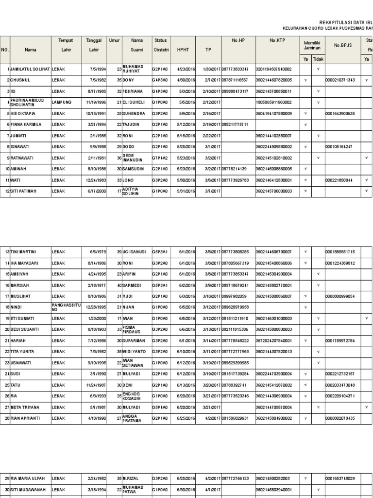 Format Data Bumil Cijoro Lebak | PDF