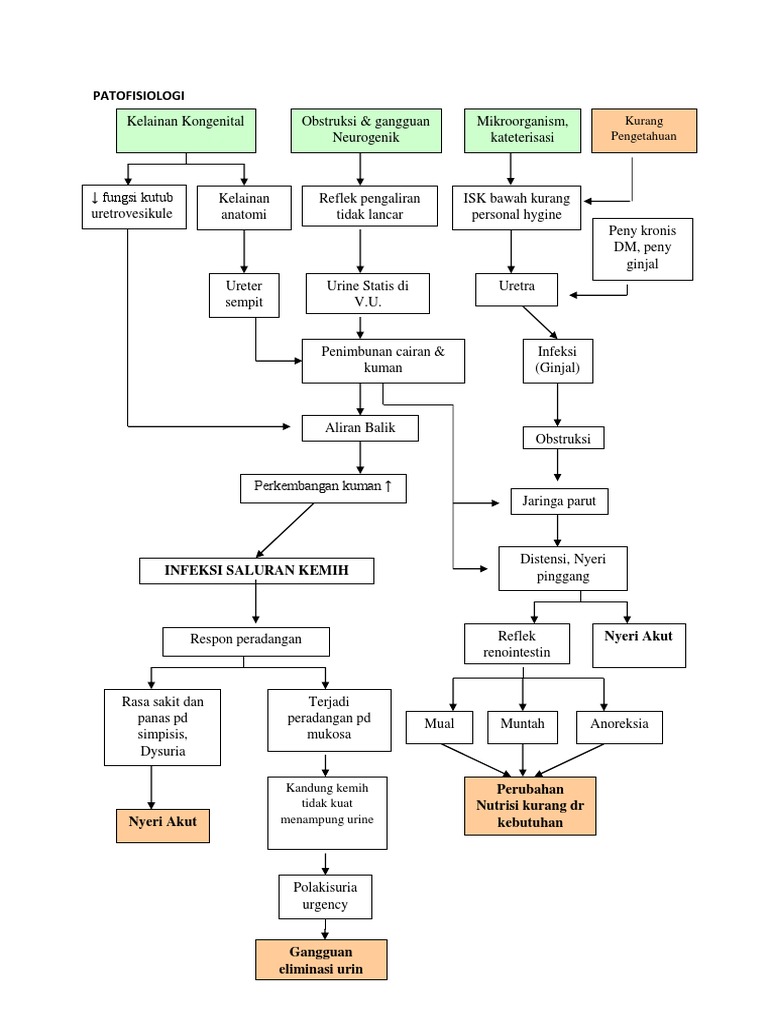 PATOFISIOLOGI PATHWAY ISK