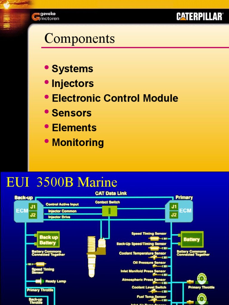 Components: Systems Injectors Electronic Control Module Sensors ...