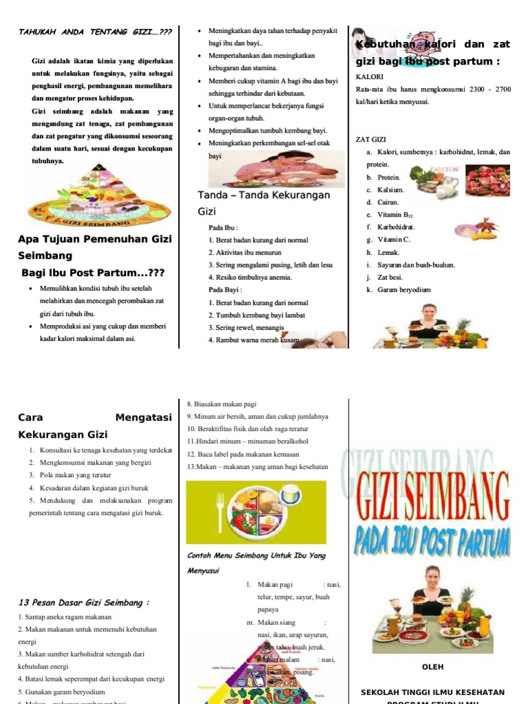 Leaflet Gizi Ibu Post Partum Ok | PDF