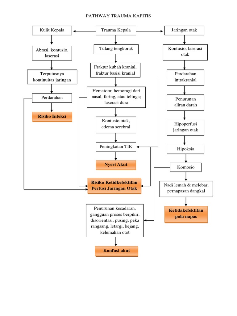 Pathway Trauma Kapitis | PDF