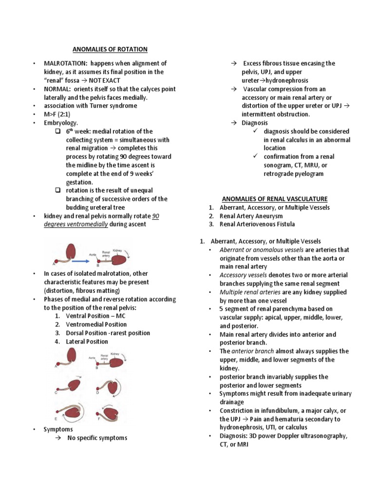 Anomalies of Rotation To CD | PDF | Angiography | Kidney