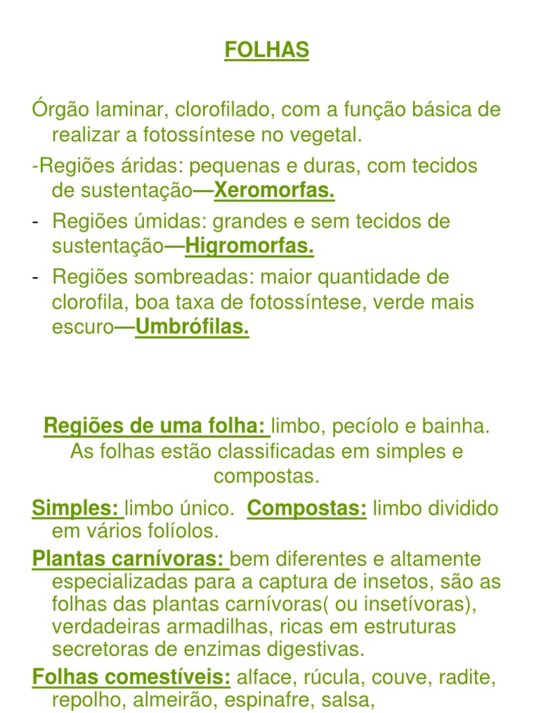 Reino Plantae Ou Metaphyta | PDF | Fruta | Semente