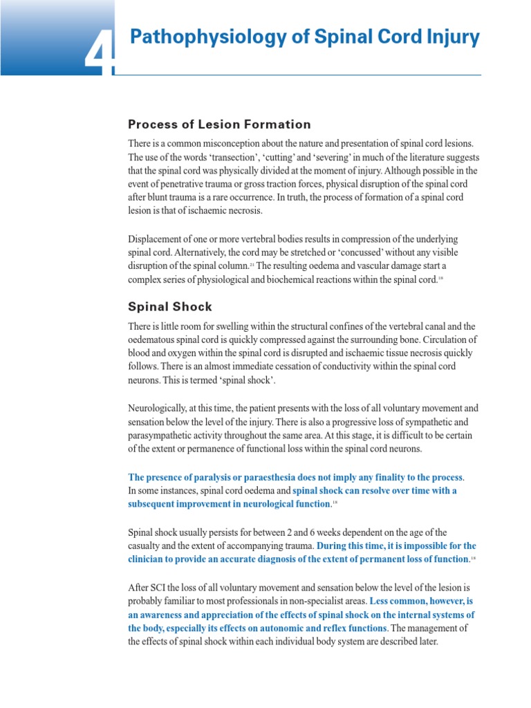 Pathophysiology of Spinal Cord Injury | PDF | Spinal Cord Injury ...