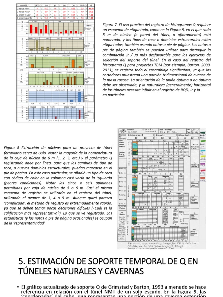 Proyectos de Inversion - Formulacion y Evaluacion - Nassir Sapag Chain ...