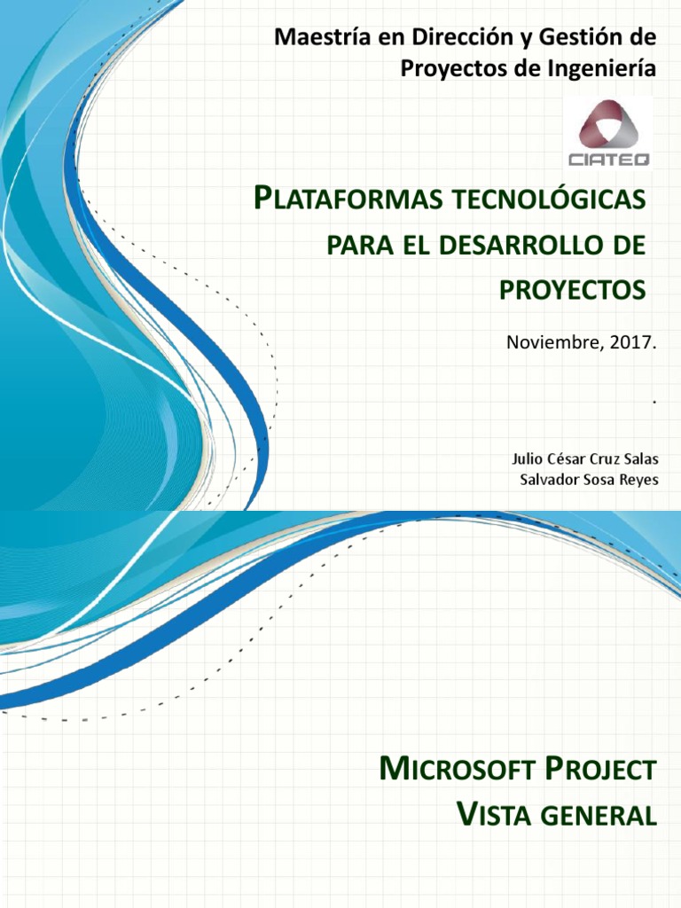 Configuración de Ms Project | Descargar gratis PDF | Microsoft ...