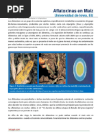 Prospecto NIFURYL | PDF | Infección del tracto urinario ...