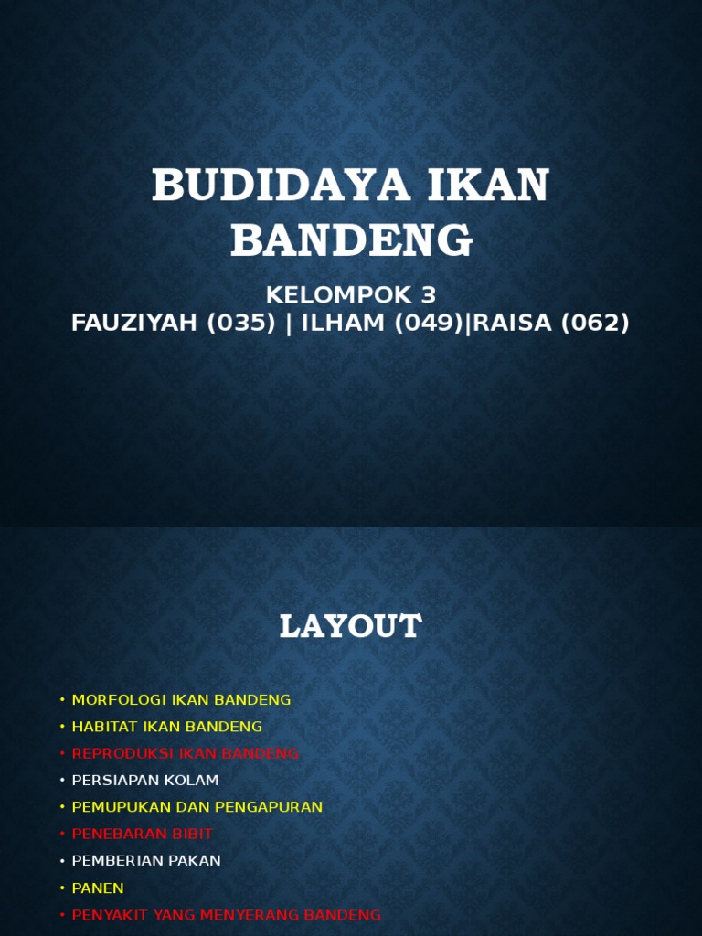 Budidaya Ikan Bandeng | PDF
